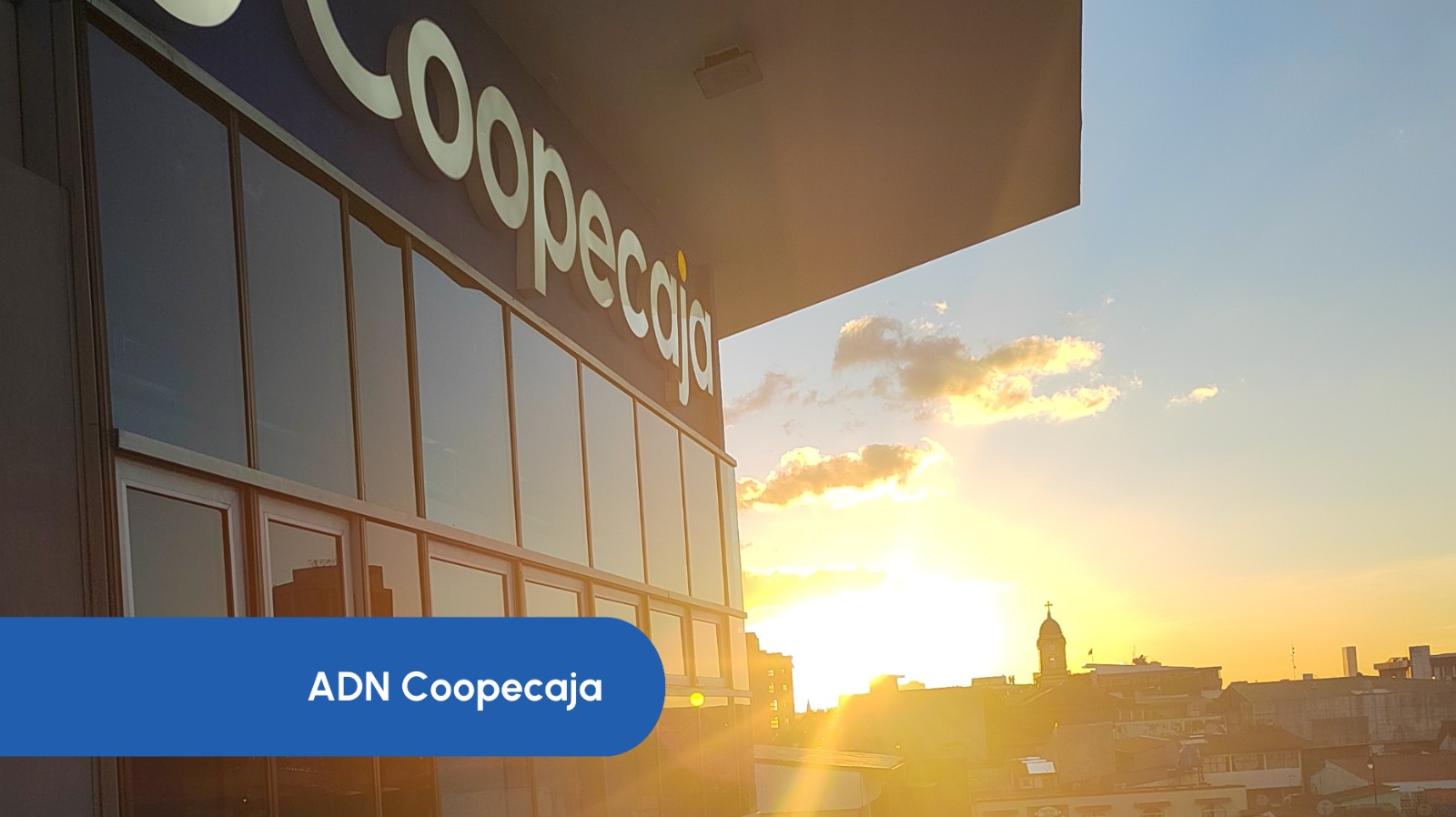 Campus Virtual: Todos los cursos | Campus Virtual